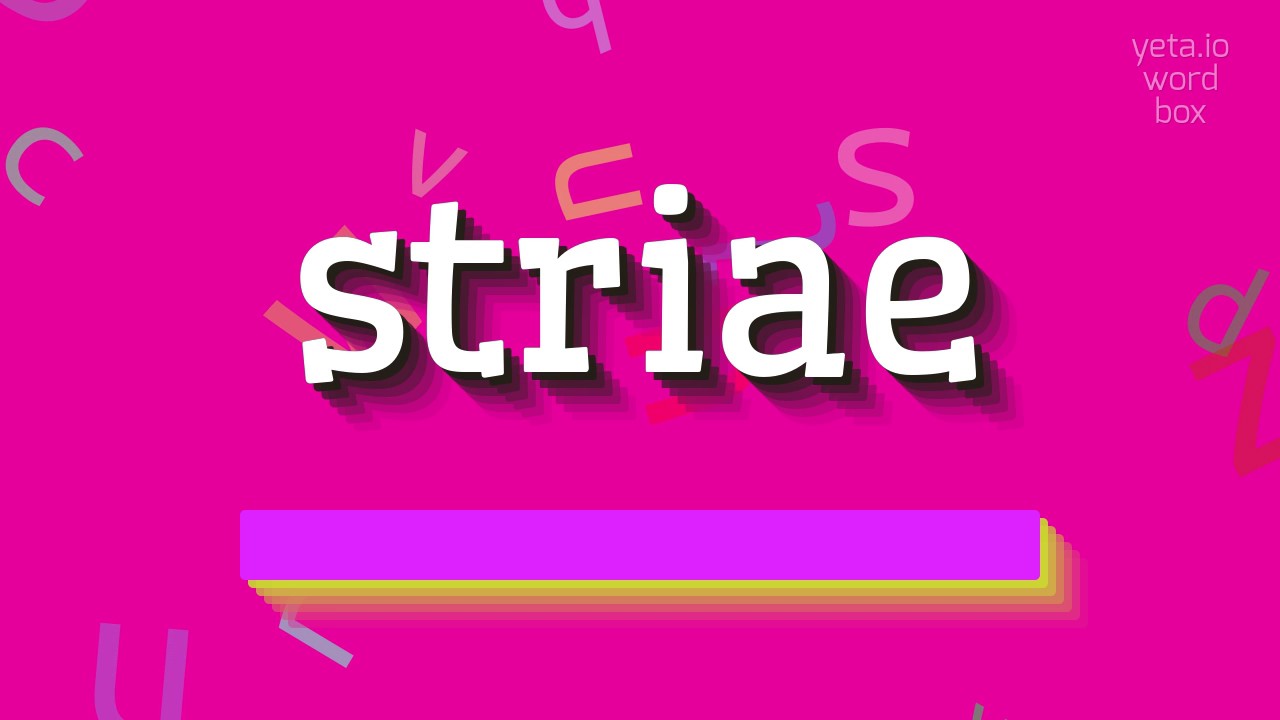 How to say "striae"! (High Quality Voices) - YouTube
