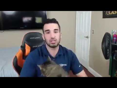 Yayın Yaparken Sahibine Saldıran Kedi