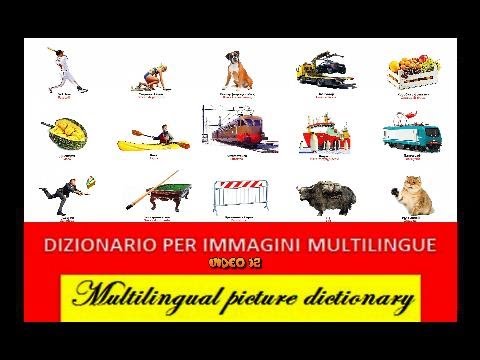 MULTILINGUAL PICTURE DICTIONARY Dizionario per immagini multilingue ...