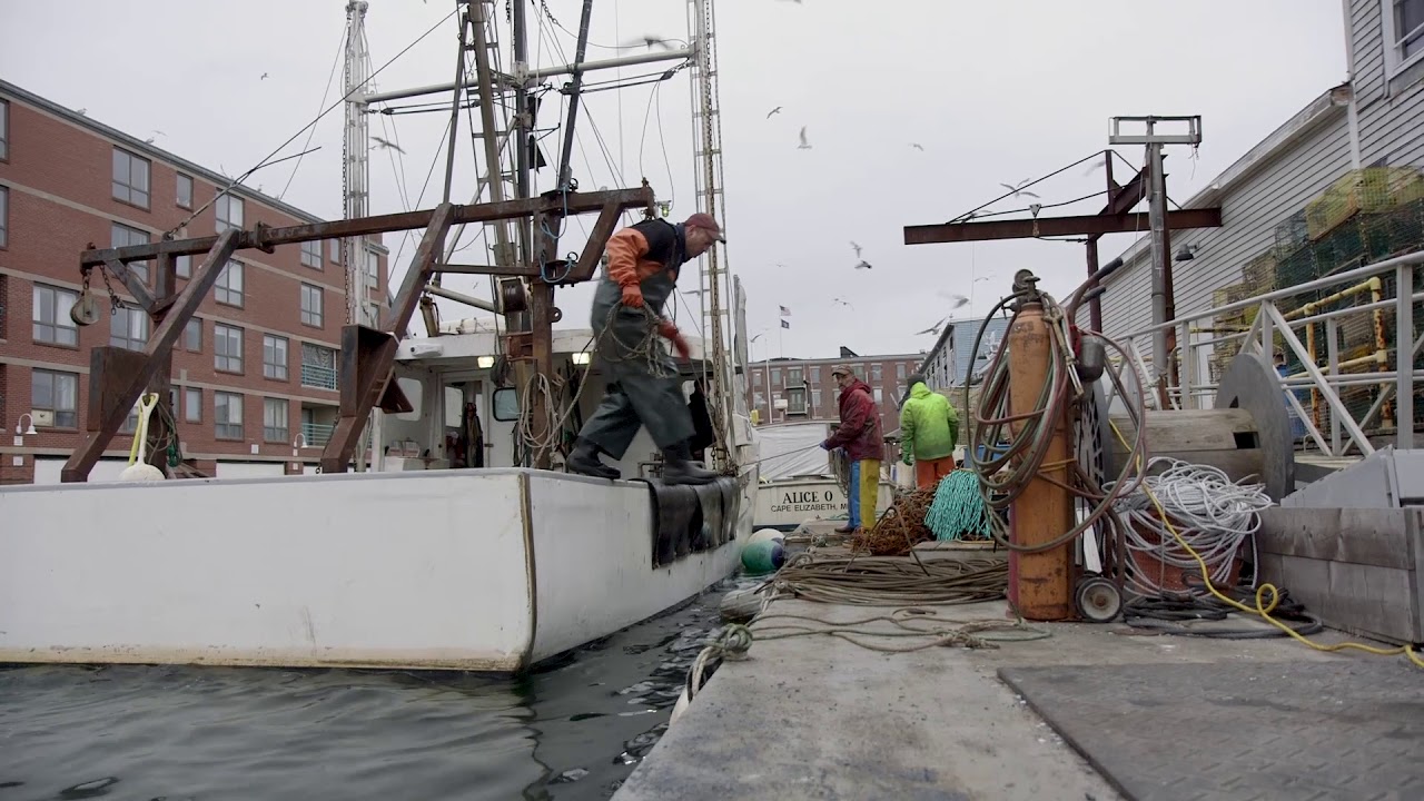 Portland's Working Waterfront - YouTube