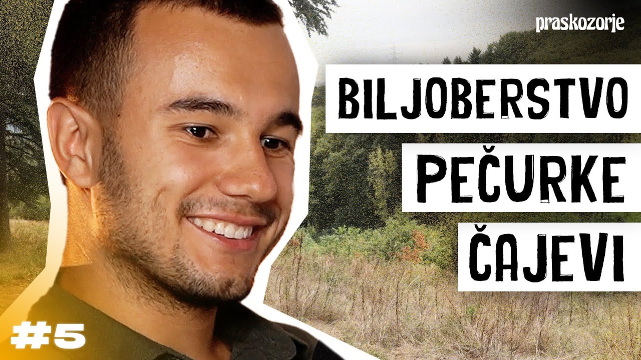 LEKOVITO BILJE i ALTERNATIVNA MEDICINA | Marko Stevanović | Praskozorje ...