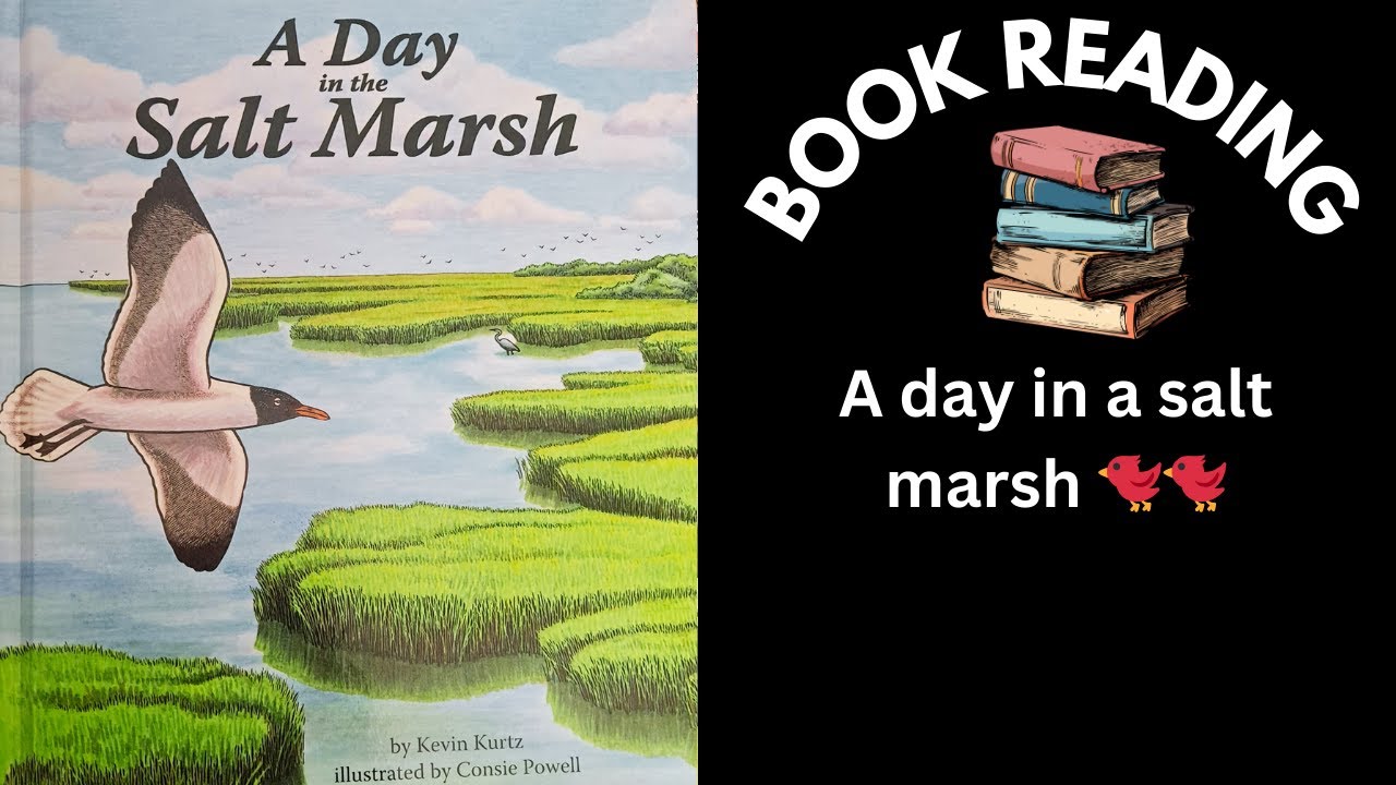 A day in a salt marsh 🐦🐦 || Kids Books Read Aloud || Book Reading for ...