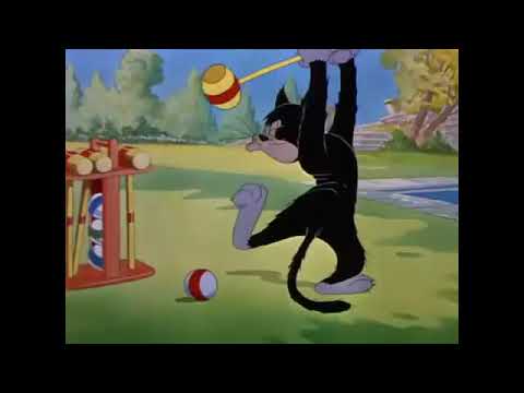 Tom and Jerry Springtime for Thomas jerry - YouTube