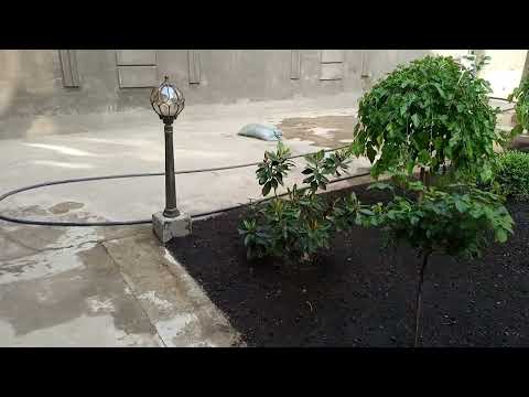 gazon ekish garden uzz bilan yaxshiroq