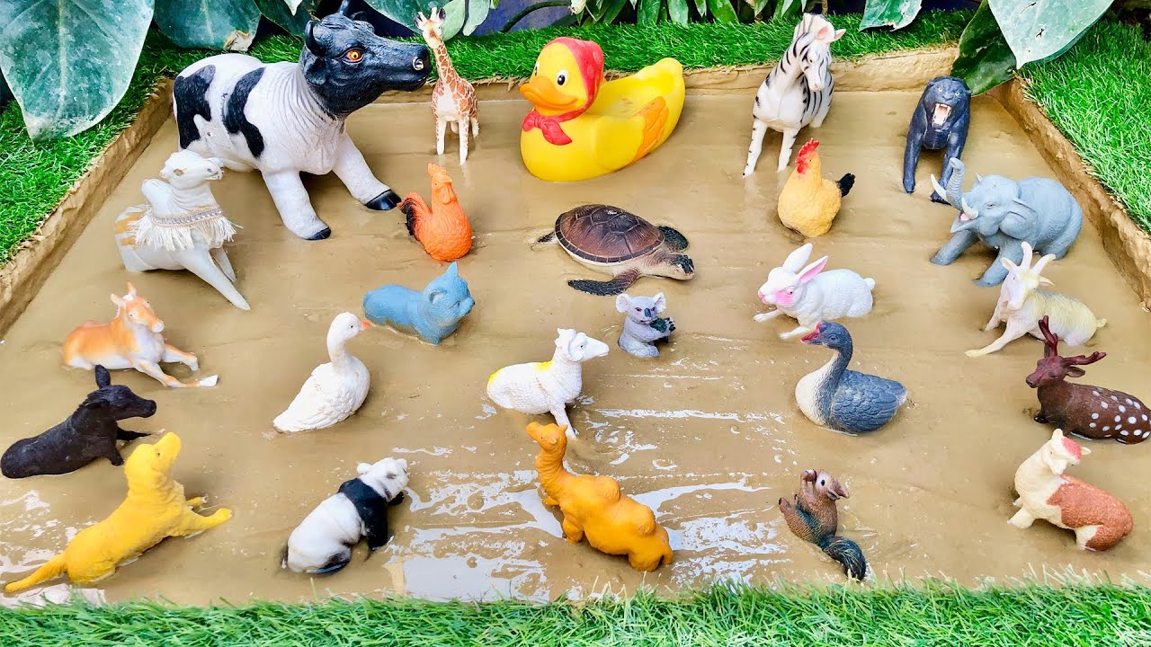 Muddy Cuties: Adorable Pet and Farm Animals Stuck in Mud! 🐰🐥 Learning ...