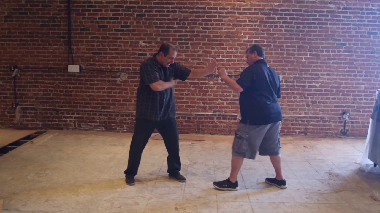 Te-Kempo Jiujitsu. Master Larry Delano, Mike Pecina - YouTube