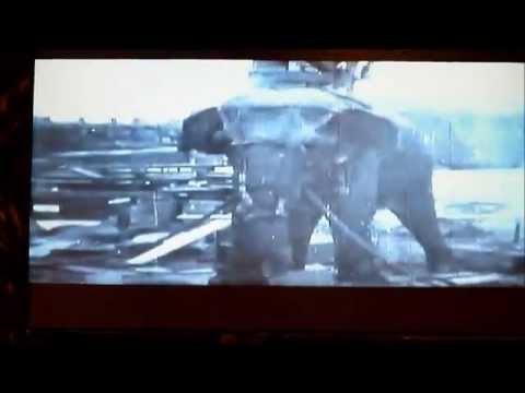 Thomas Edison electrified an elephant named Topsy - YouTube