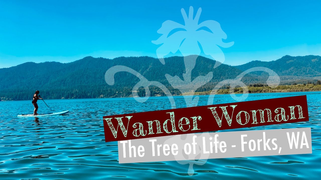 The Tree of Life - Forks, WA - YouTube