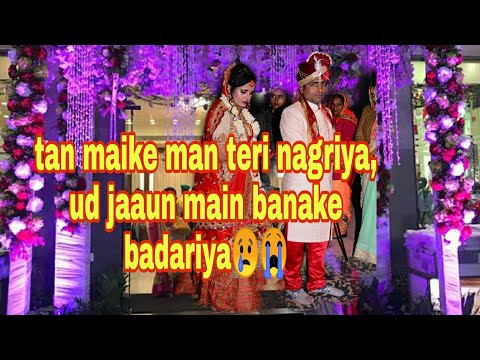 tan maike man teri nagriya, ud jaau me banake badariya #Shortsvideo Bidayi Song 😢😢