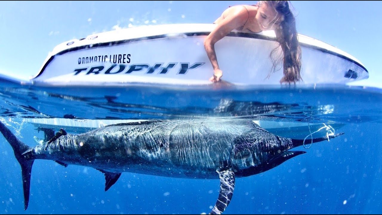 SWITCH BAITED BLACK MARLIN HARDLY HOOKED!! - YouTube
