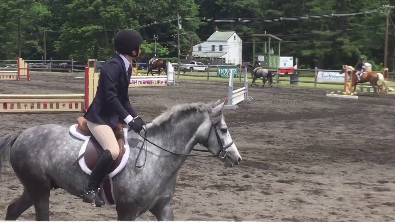 Blue Ridge Rembrandt (Billy) - YouTube