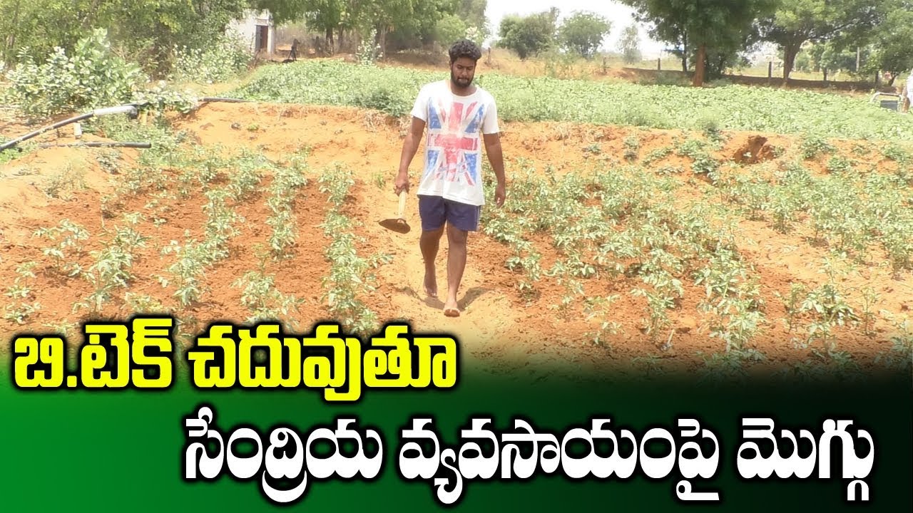 Sucessful Organic Farming in Telangana by B Tech Engineer || SumanTV ...