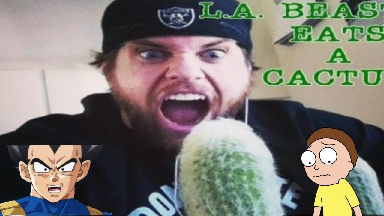 Vegeta and Morty reacts to La beast Cactus munch - YouTube