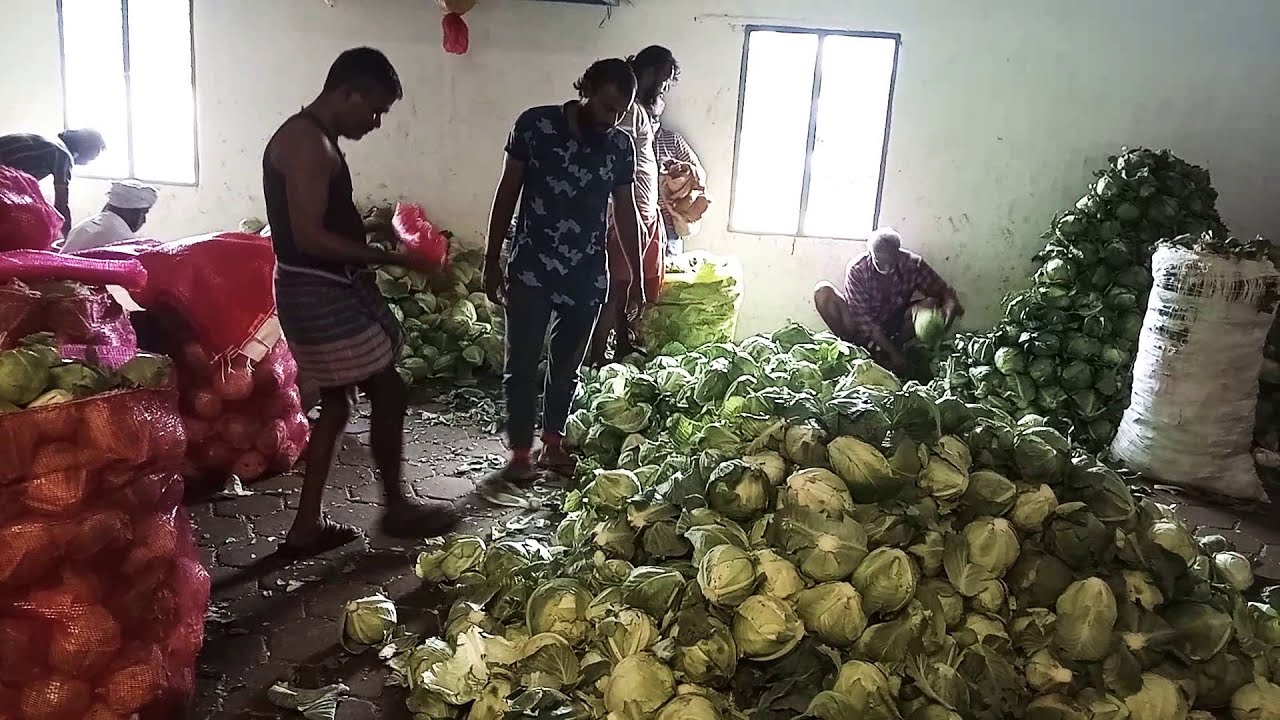 Cabbage backing - Ooty - Mettupalayam - Tamilnadu - YouTube
