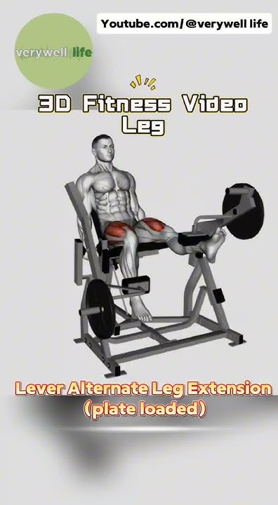 Title：3D Exercise Video Leg Edition →Lever Alternate Leg Extension (plate loaded - YouTube