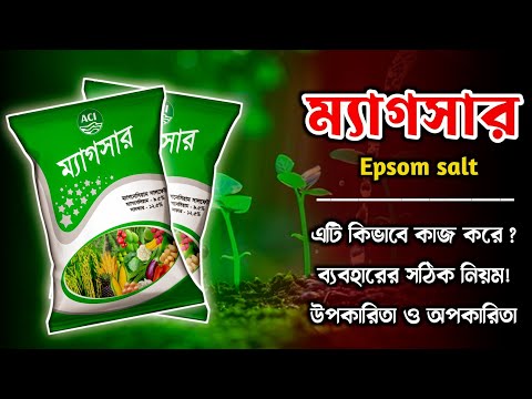 ম্যাগসার: গাছের দ্রুত বৃদ্ধি ও সবুজ রাখার গোপন উপায়! Magnesium Sulphate Explained