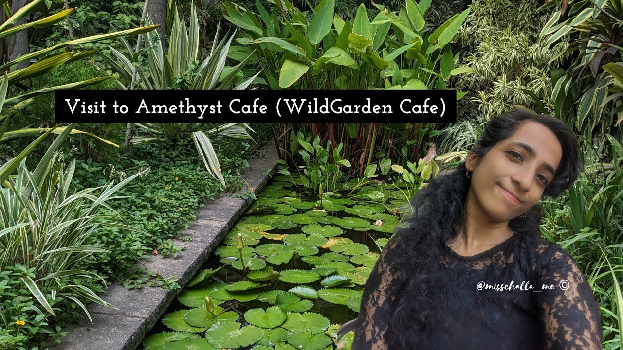 Visit to Amethyst Cafe (Wild Garden) - YouTube