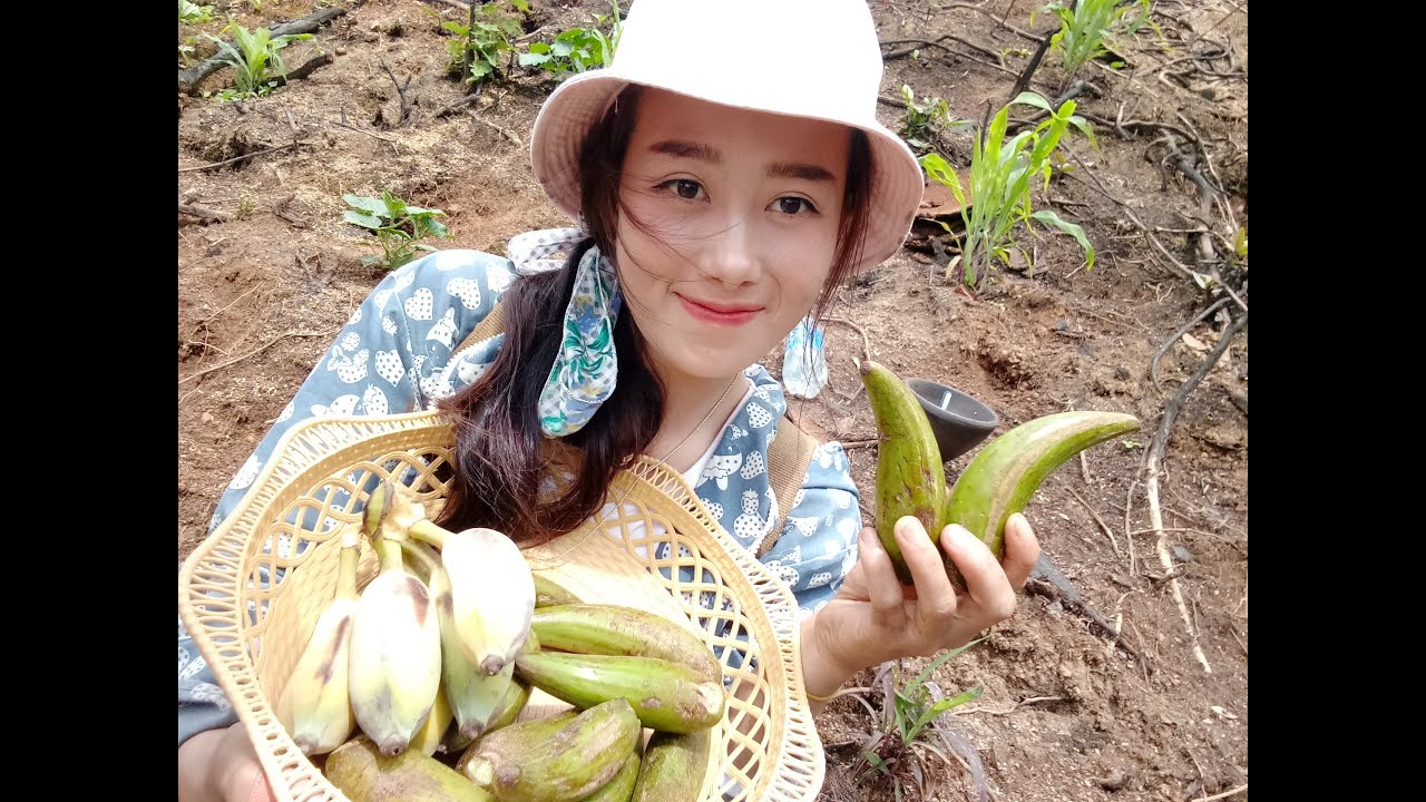 Primitive Corn Farming and Picking Natural Green Sour with Chili salad ...