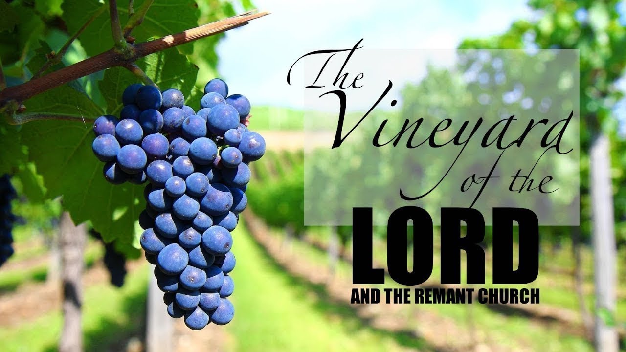 The Vineyard of the Lord - YouTube