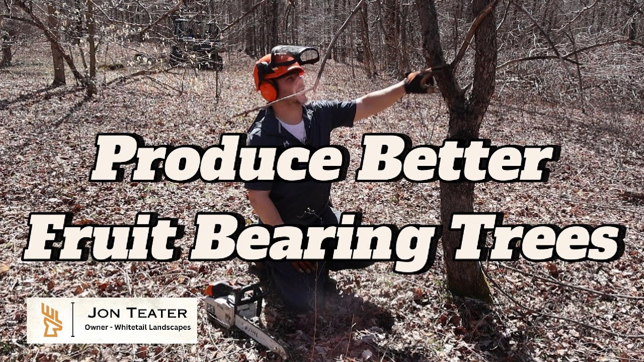 Produce Better Fruit Trees - YouTube