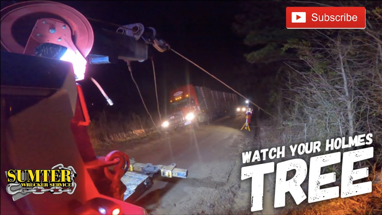 Watch Your Holmes Tree - YouTube