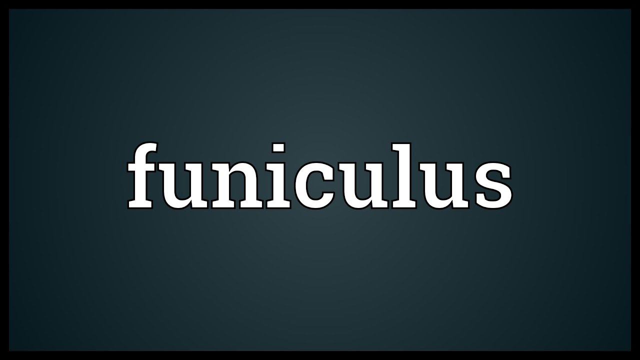 Funiculus Meaning - YouTube
