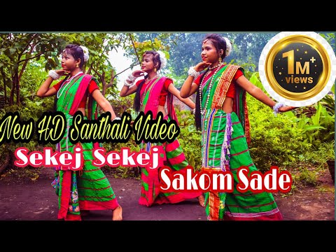 Sekej Sekej Sakom Sade | विश्व आदिवासी दिवस | Santhali Video | RDACrew_Queen
