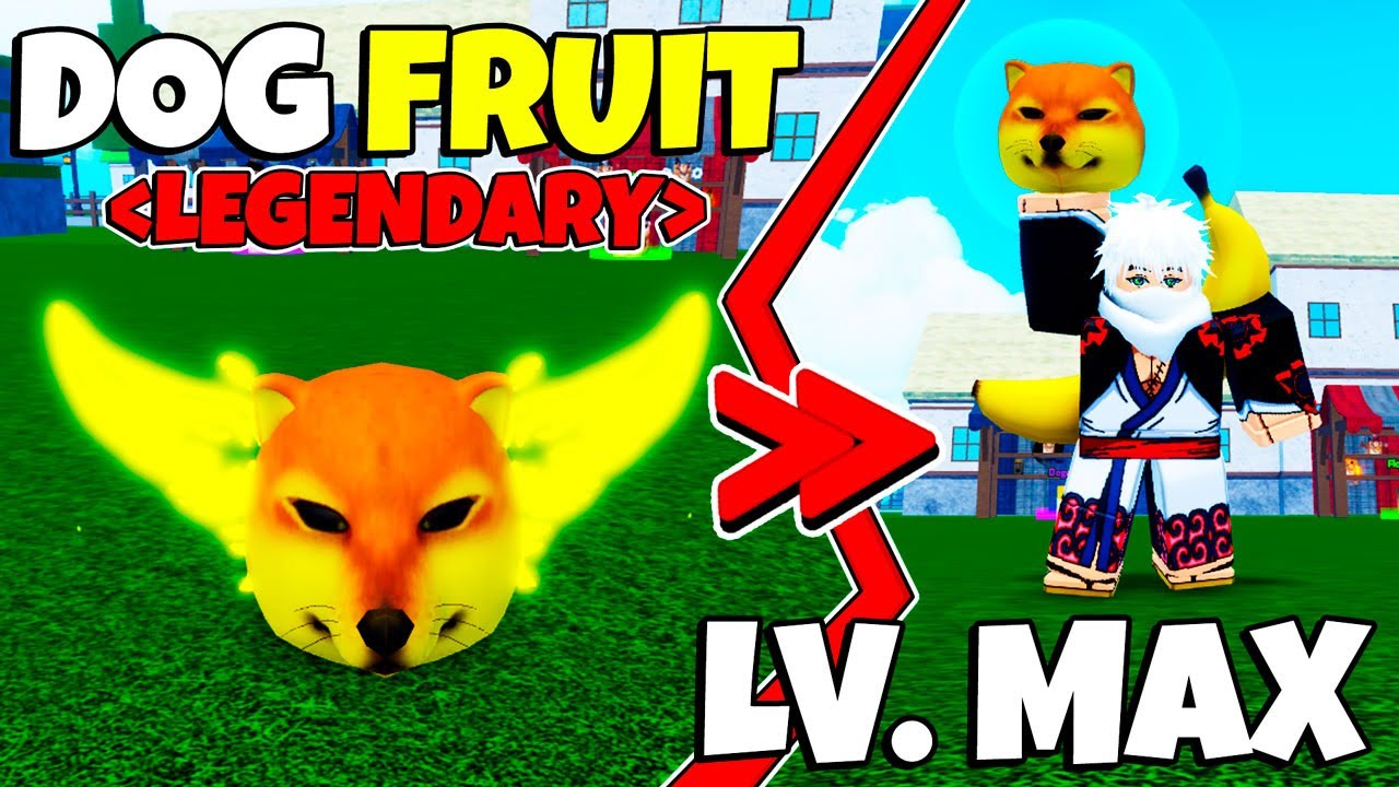 🐶 GIREI a LENDÁRIA DOG FRUIT e CHEGUEI no LEVEL MÁXIMO do MEME SEA ...