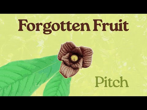 Forgotten Fruit - A Documentary Film About Pawpaws