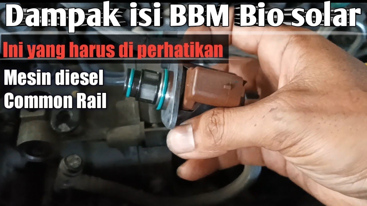 BBM bio solar..?? Amankah untuk mesin diesel common rail🤔.Ini yang ...