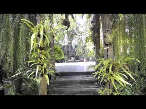 Fern Paradise - YouTube