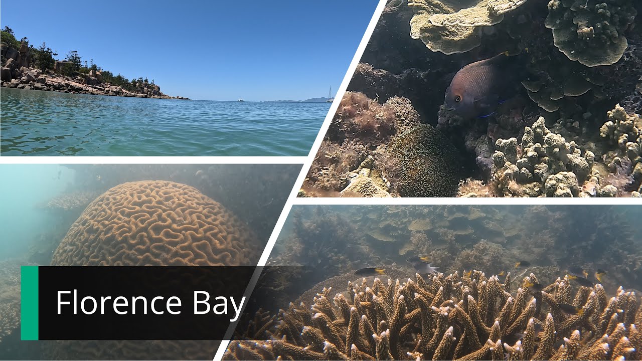 Florence Bay Point - Diving Magnetic Island - YouTube