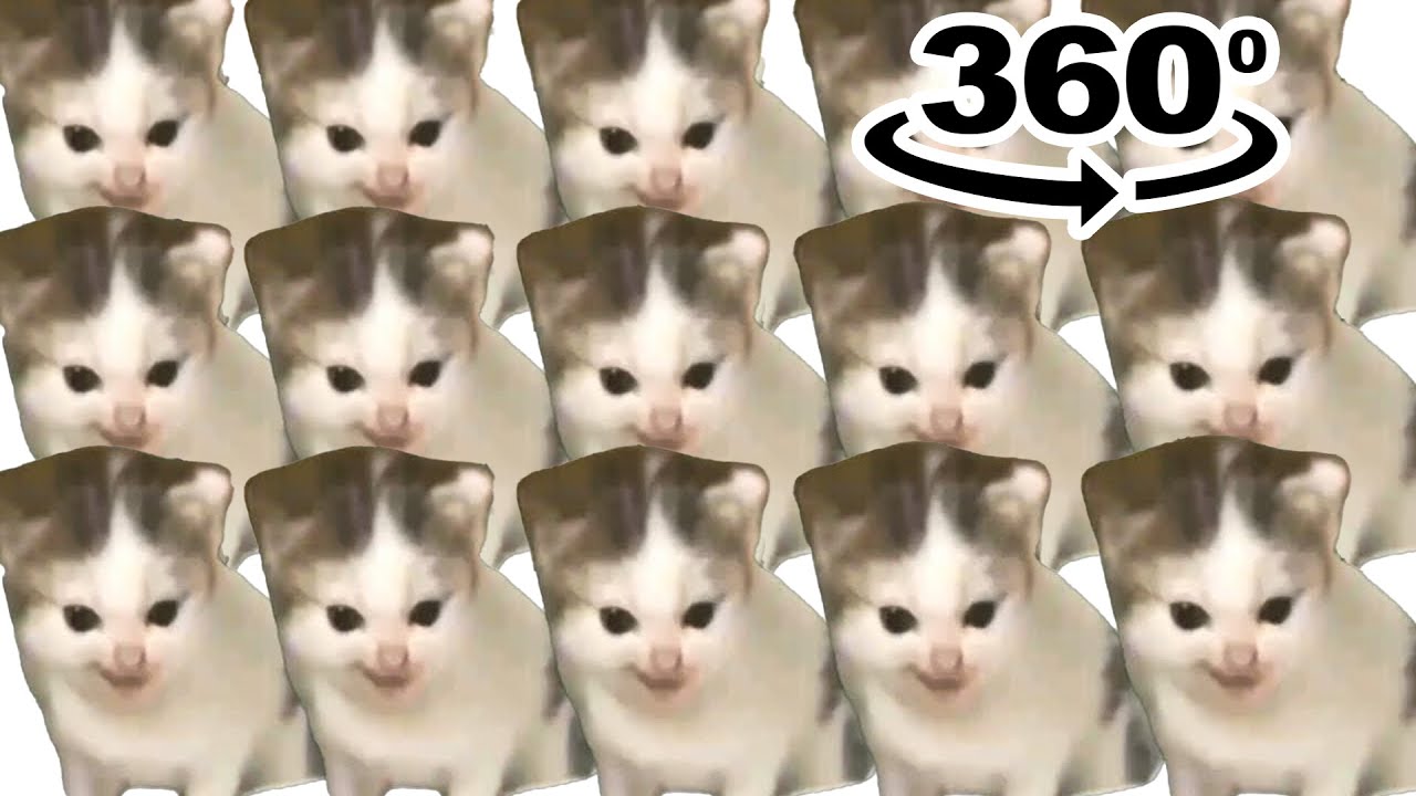 German Cat Meme x10000000 360º - YouTube