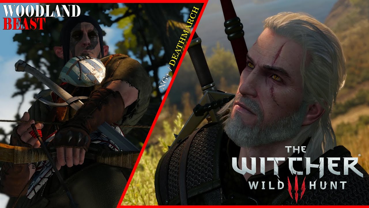 The Witcher 3 Contracts: Woodland Beast - YouTube