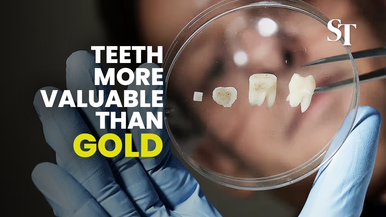 Teeth wanted: Inside Singapore’s first Tooth Tissue Bank - YouTube