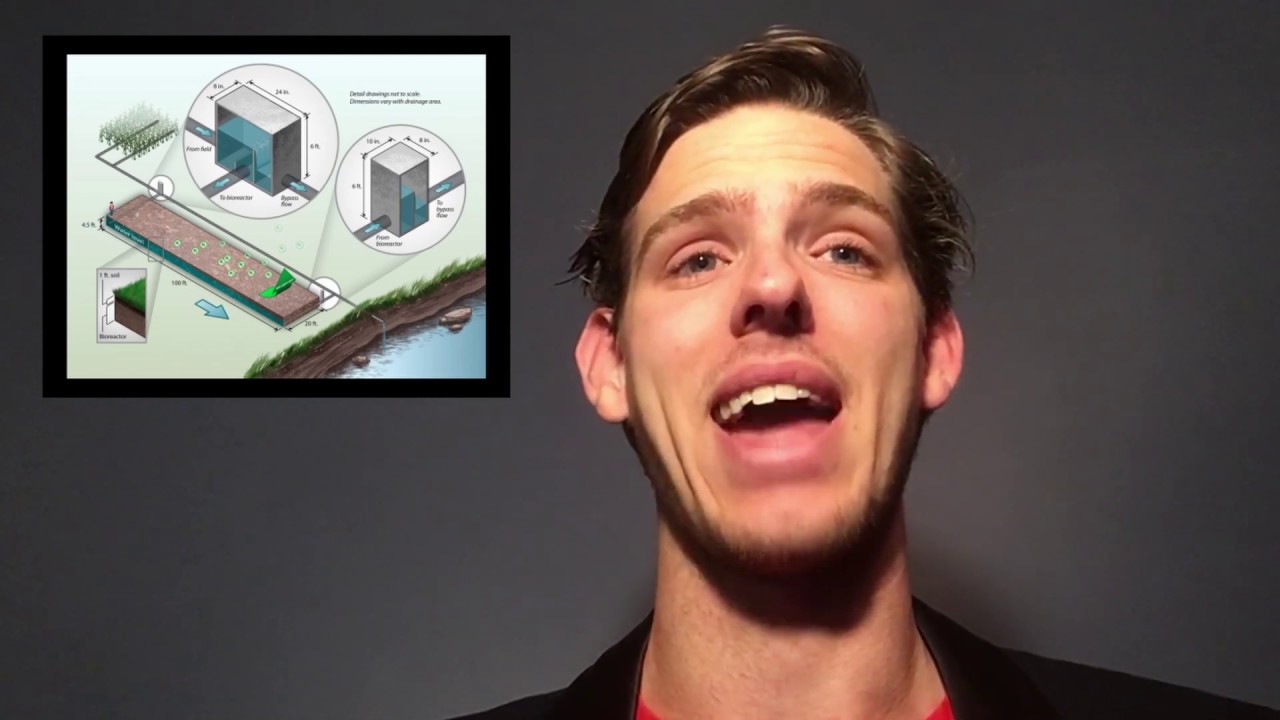 Woodchip Bioreactors Final Cut Trent Hooley, Spencer Stringfellow ...