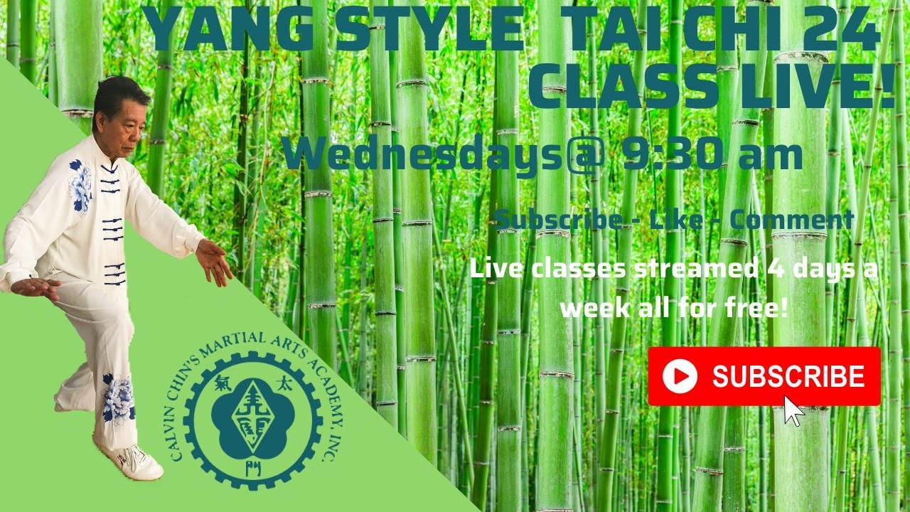 New Short Video Series Yang Style Tai Chi 24 form - YouTube