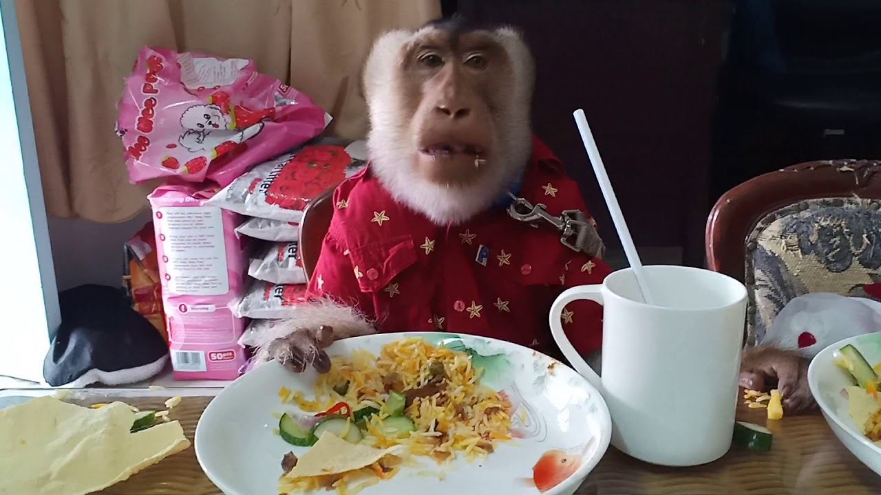 Jk Shaki Sunday Briani Time - YouTube