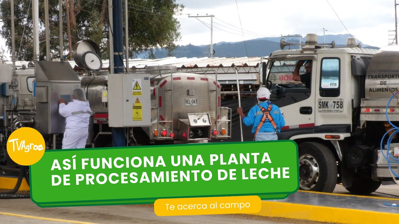 Así funciona una planta de procesamiento de leche - TvAgro por Juan ...