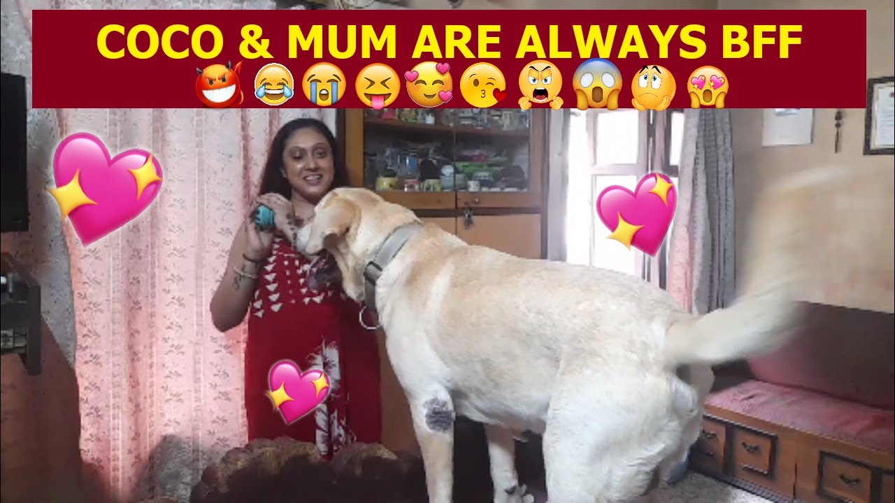 COCO & MUM ARE BFF😍|WHENEVER, COCO NEEDS MUM SHE'S THERE, WATCH THEIR ...