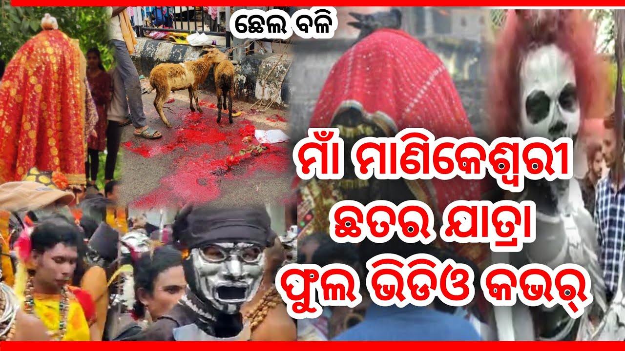 Chhatar Yatra Kalahandi ।। Maa Manikeswari Chhatar Yatra 2022 ।।।। Dhum ...
