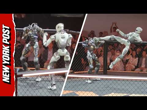 Losing a Head Doesn't Stop This Robot From Battling Another in the Ring