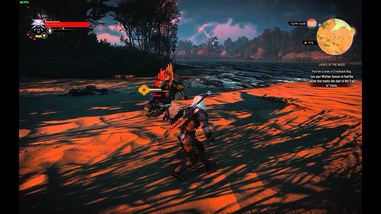 Witcher 3 Epic Draconid fight - YouTube