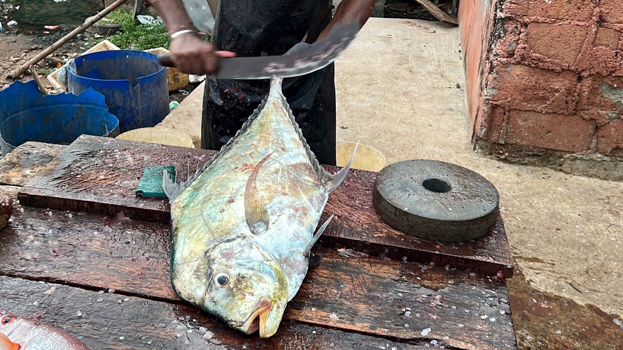 HUGE DIAMOND TREVALLY FISH CUTTING - YouTube