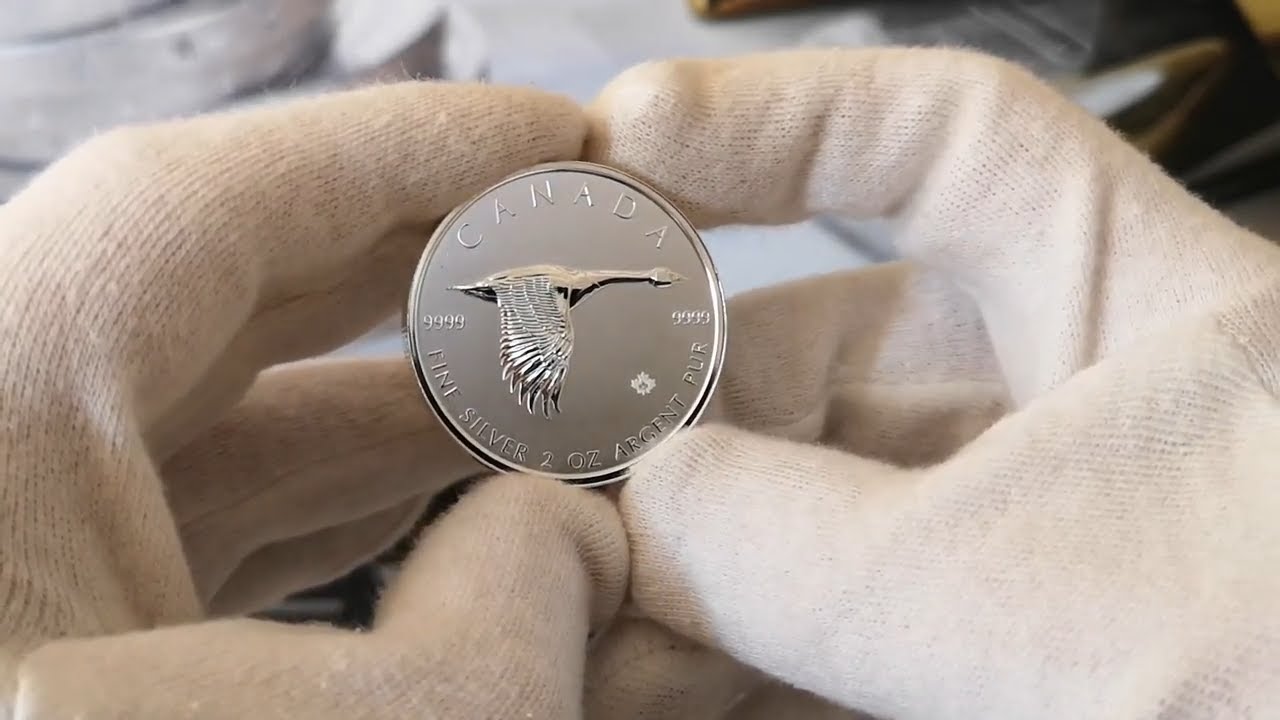 2020 Canada Goose 2oz 9999 Fine Silver Bullion Coin from Coininvest ...