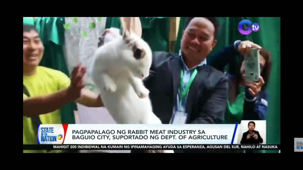 Rabbit Farming isinusulong ng LGU Baguio City target nilang maging ...
