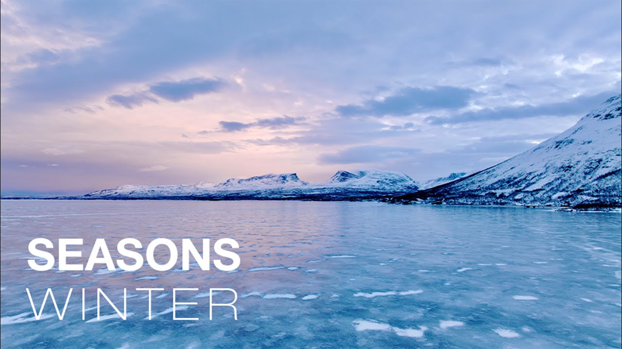 "Årstider" - "The Nordic Seasons" I Vinter - Winter - Hanna Helgegren ...