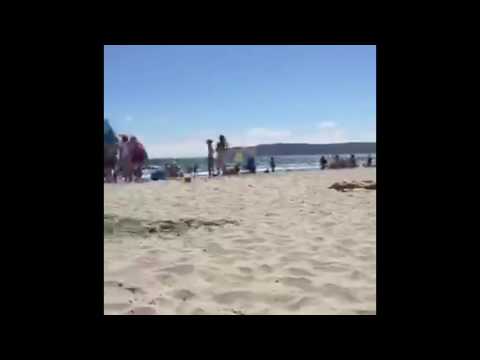 Day at Coronado Beach   periscope stream