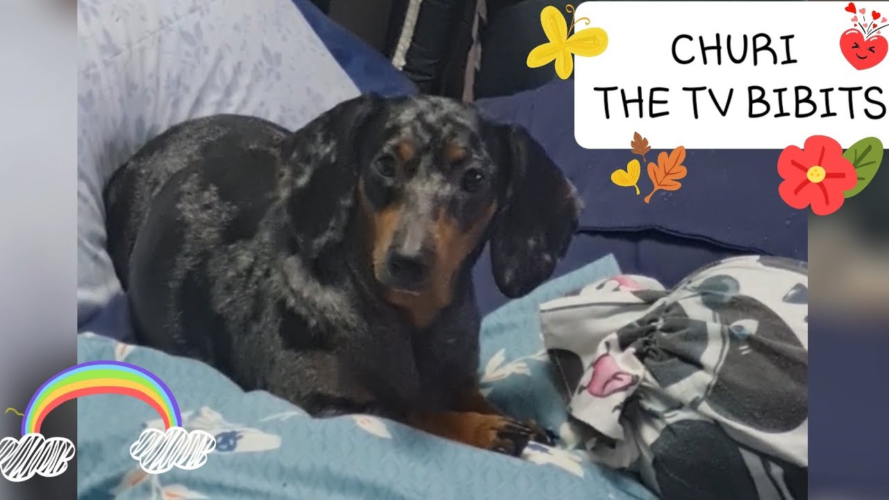 Churi Watching TV - YouTube