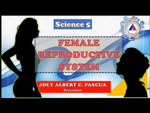Science 5: FEMALE REPRODUCTIVE SYSTEM - YouTube